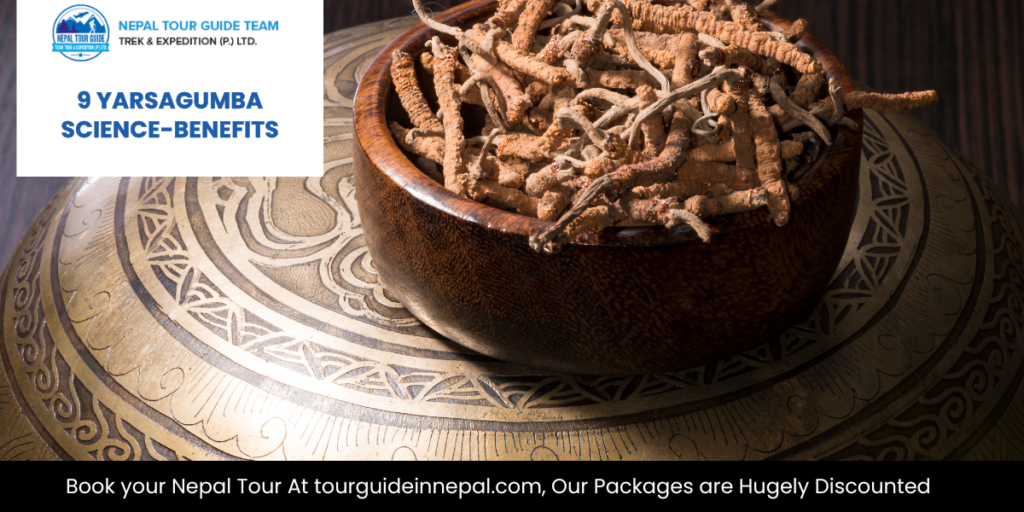 9 Science-Backed Yarsagumba Benefits In Nepal